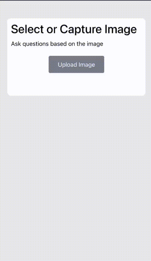 Deploy multimodal LLMs on IBM Cloud Virtual Server with GPU - IBM Developer