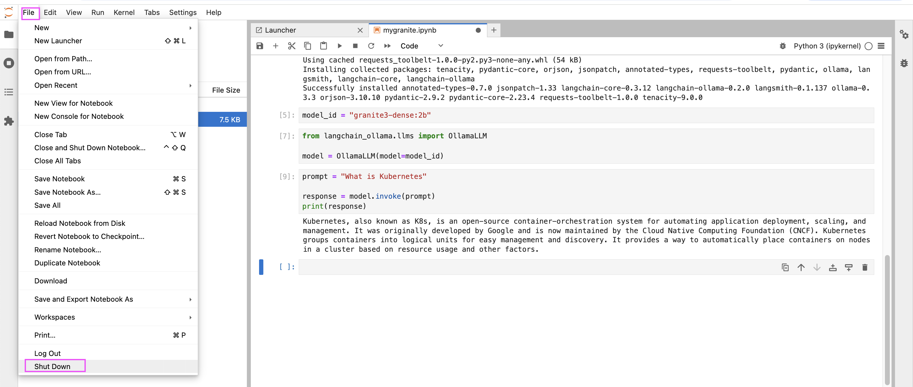 Accessing Ibm Granite Llms In Jupyter Notebook Through Ollama Ibm Developer