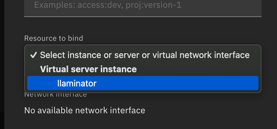 Run Llama2 and Mistral 7B on IBM Cloud Virtual Servers with CPU - IBM Developer